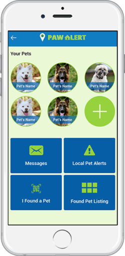 Work | CodeBuzzers Technologies
